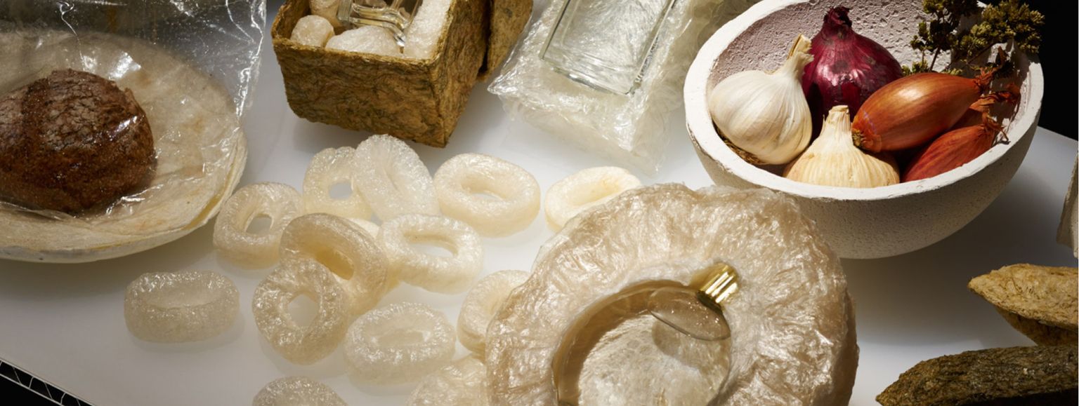 Past Winners / Discover the Global World of Lexus