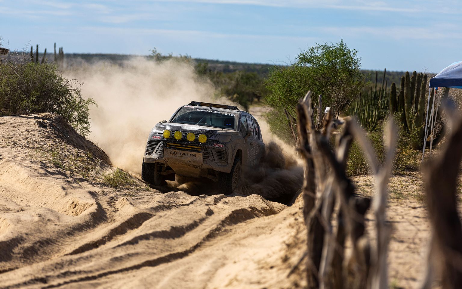 The Races / Discover the Global World of Lexus