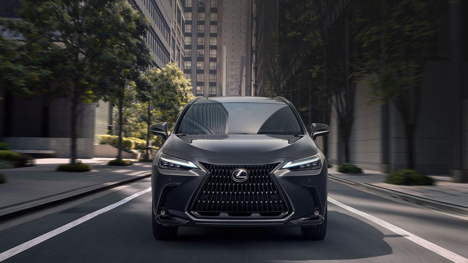 Lexus NX / Discover the Global World of Lexus